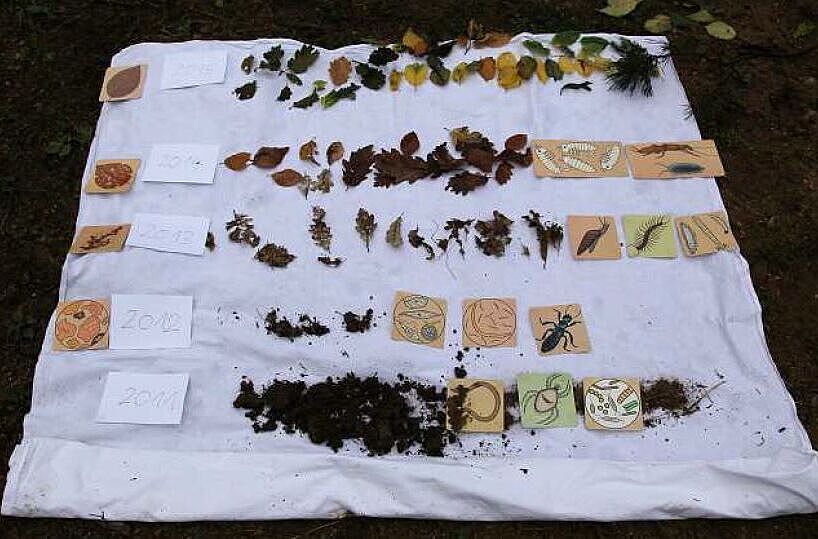 Seminare für pädagogische Fachkräfte - BUND Naturschutz Ansbach